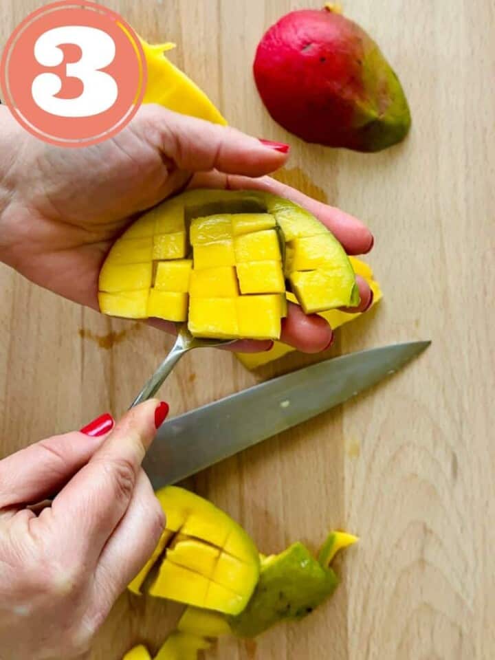 Mango Habanero Salsa Recipe