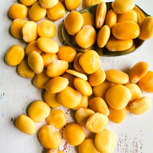 All About Lupini Beans