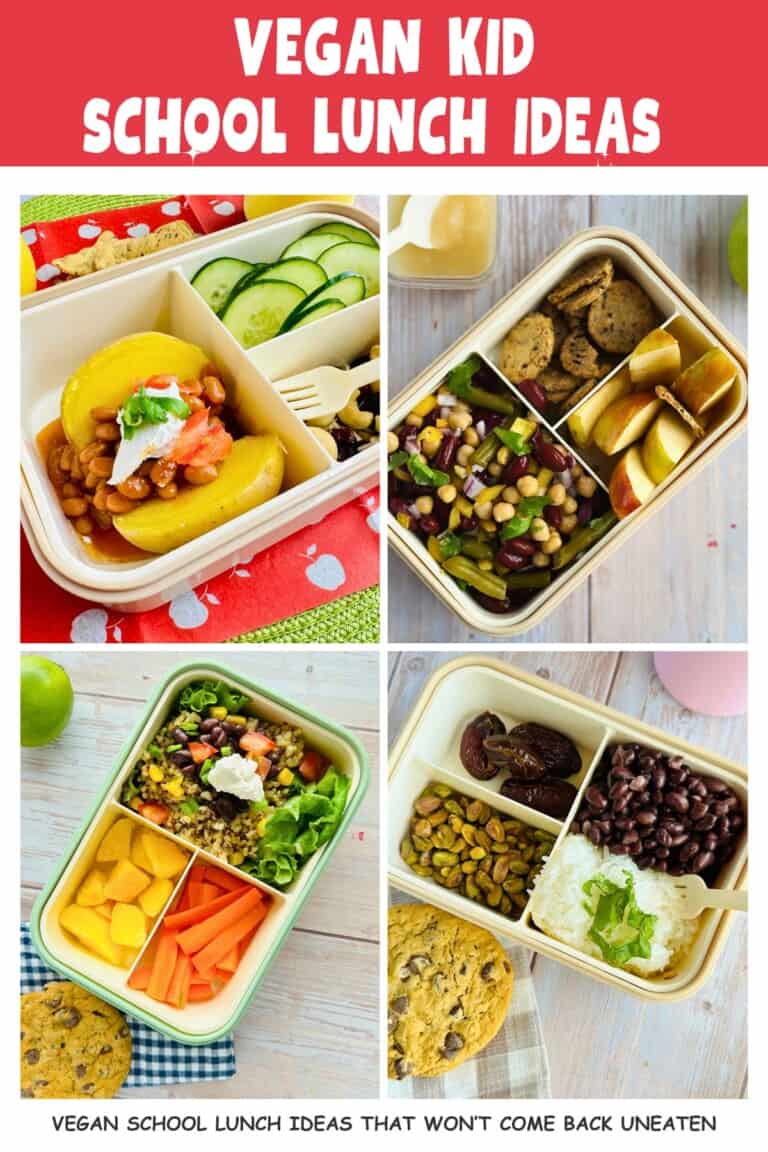 20+ Vegan Kid School Lunch Ideas