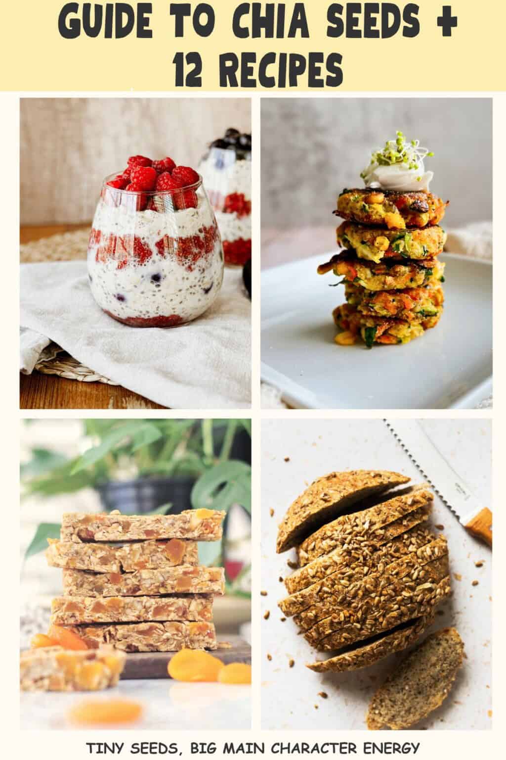Guide to Chia Seeds Plus 12 Ways To Enjoy Them