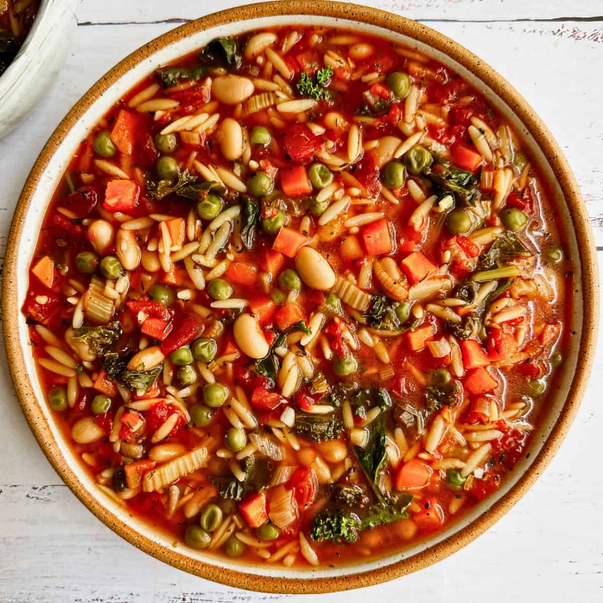 Bijol Traditional Latin Seasoning Condiment - Nuts and Twigs